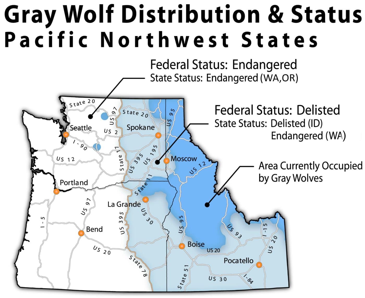 How many wild wolves are in the United States? | Wolf Conservation Center
