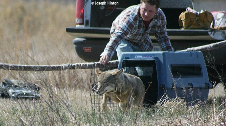 Visitor Information | Wolf Conservation Center