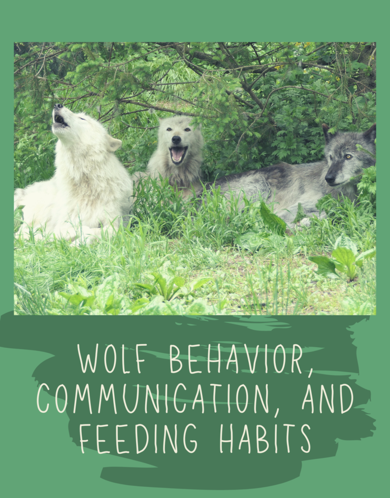 Distance Learning with the Wolf Conservation Center | Wolf Conservation ...