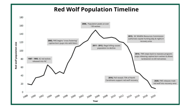 Red Wolf Population Graph | Wolf Conservation Center
