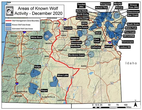 Oregon Officials Use Wolf Mother to Betray Her Family, Slaughter Three ...