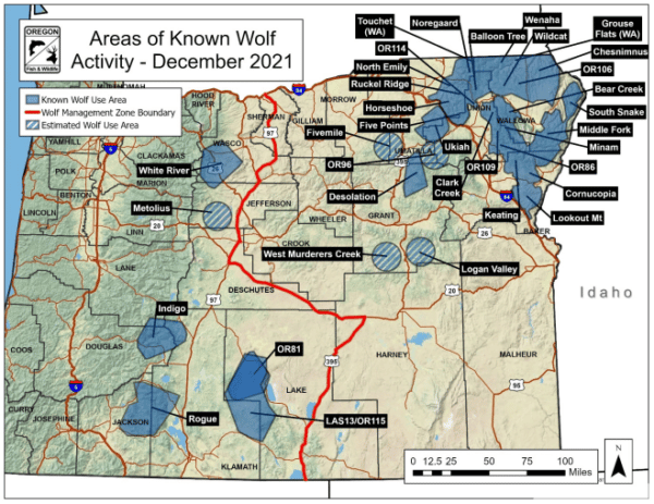 Oregon Issues Kill Orders for Multiple Wolves