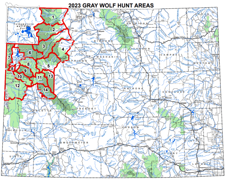 Wyoming Hunter Fined after Chasing Wolf on Snowmobile, Taking to Local ...