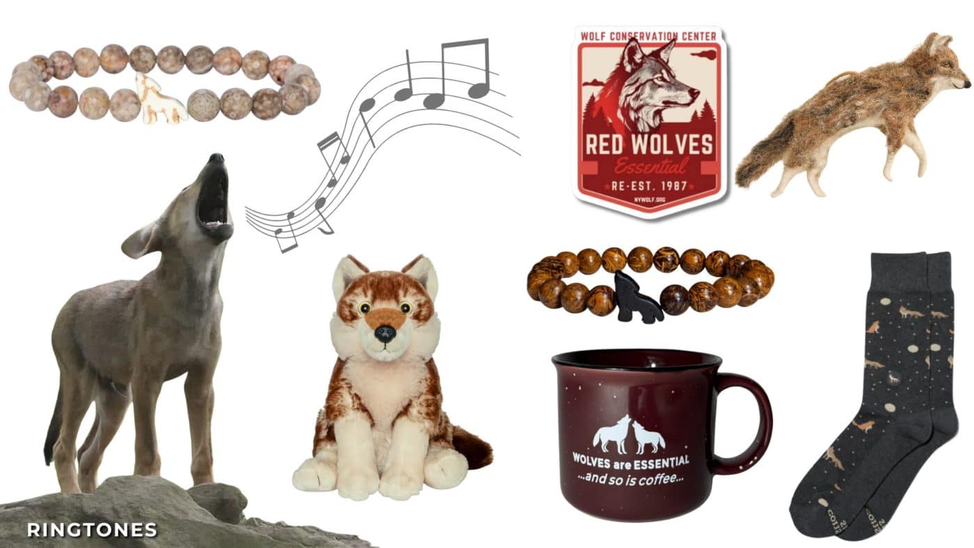 Red Wolf Week 2025 | Wolf Conservation Center