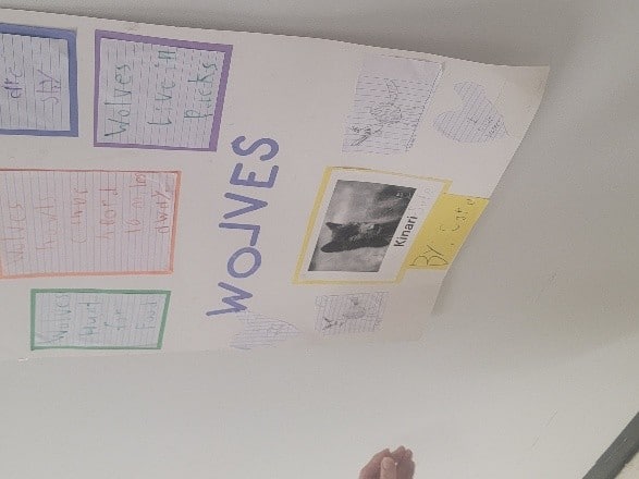 WV Students 4 | Wolf Conservation Center